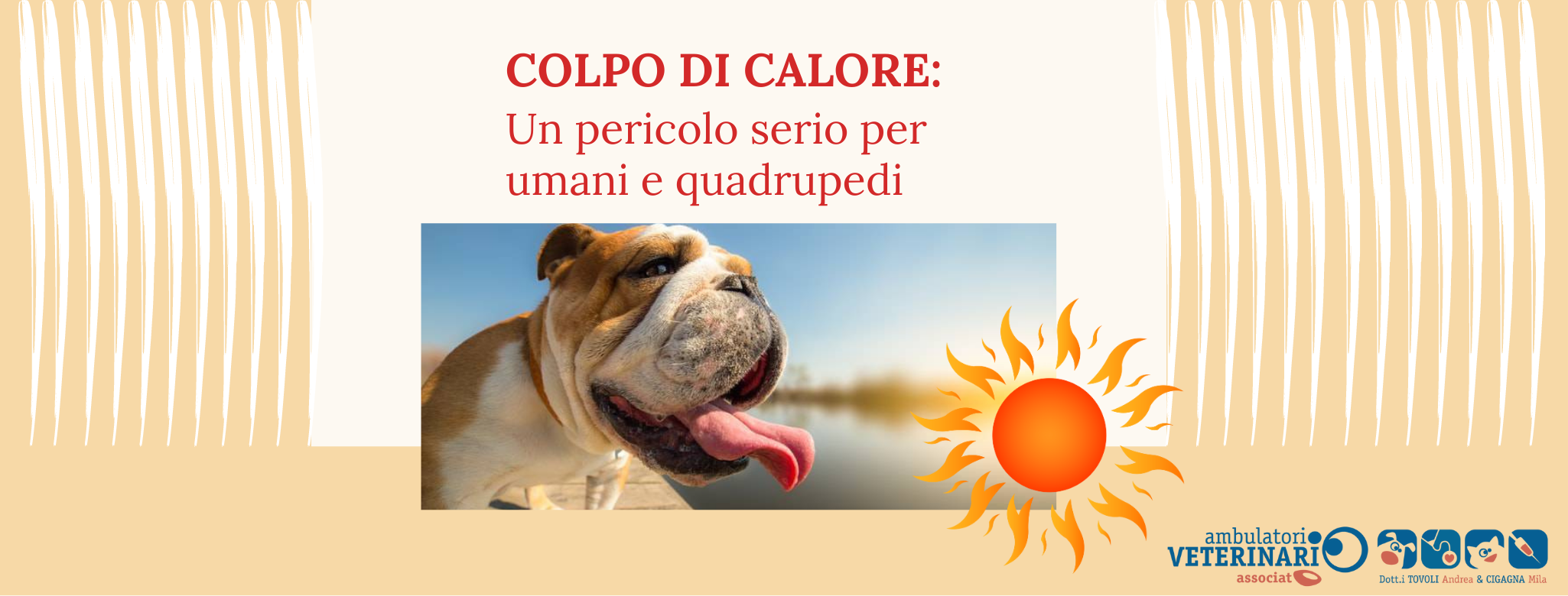 COLPO DI CALORE: UN PERICOLO PER UMANI E QUADRUPEDI | Ambulatorio ...